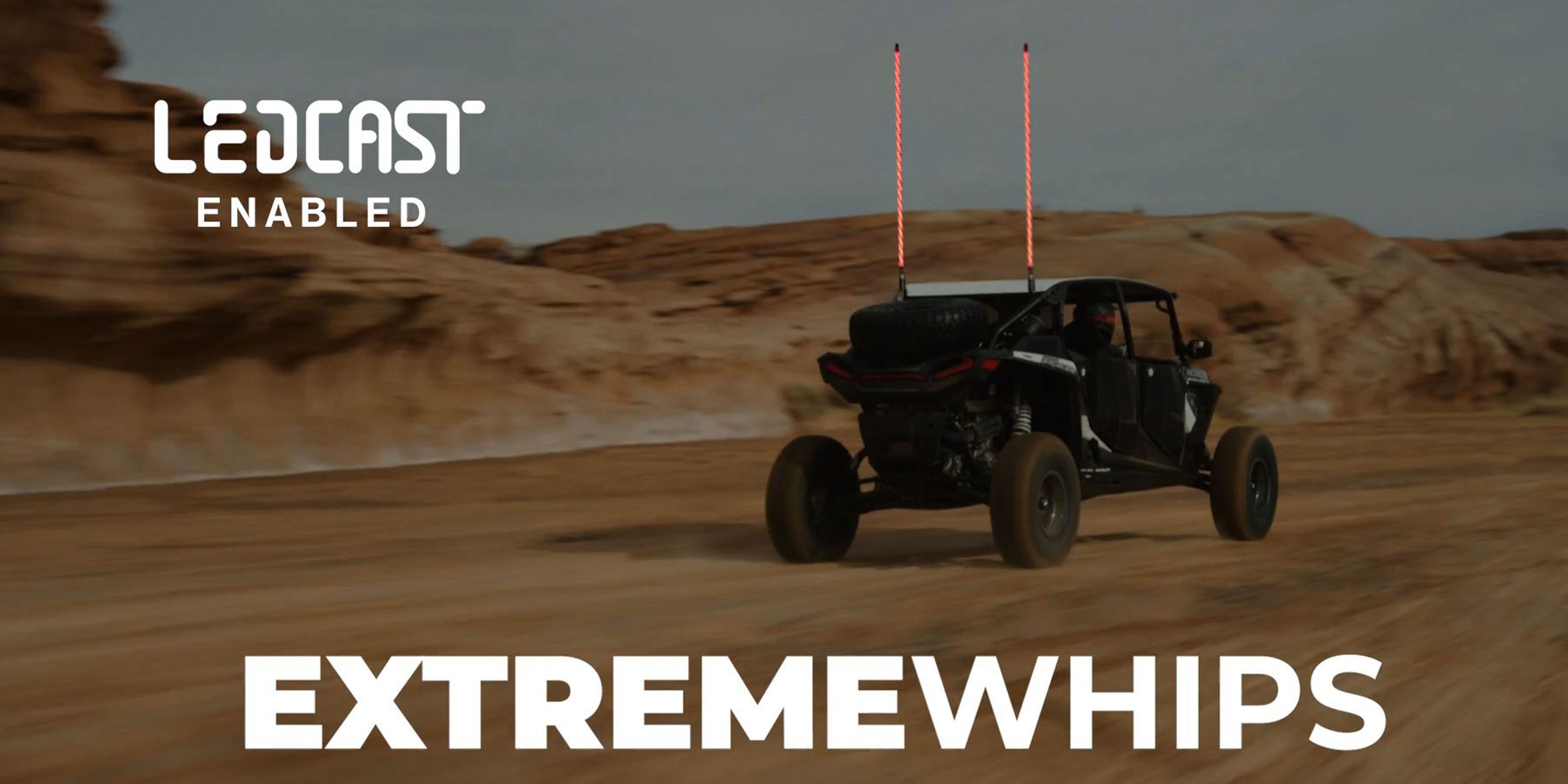 SoundExtreme by ECOXGEAR Whip Kit 4 Foot Whip and Controller